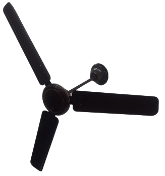Ceiling Fan